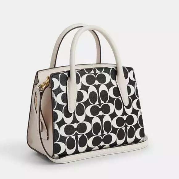 Coach | Bags | New Goldblack Multi Andrea Carryall In Signature Canvas ...